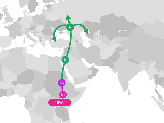 Linaje Materna | Genera